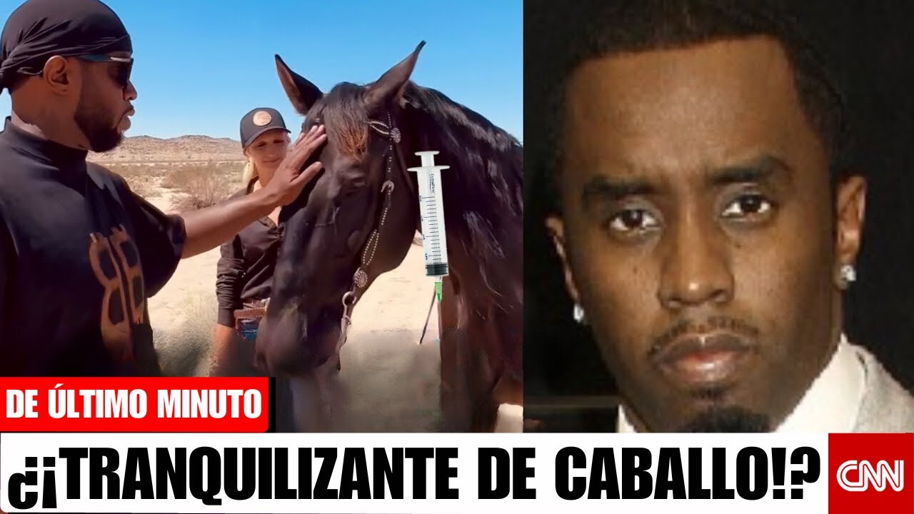 Sean ´Diddy´ Combs | ¿¡Drog4b4 Las Victimas Con Tranquilizante Para Caballo!? #diddy #jlo - YouTube