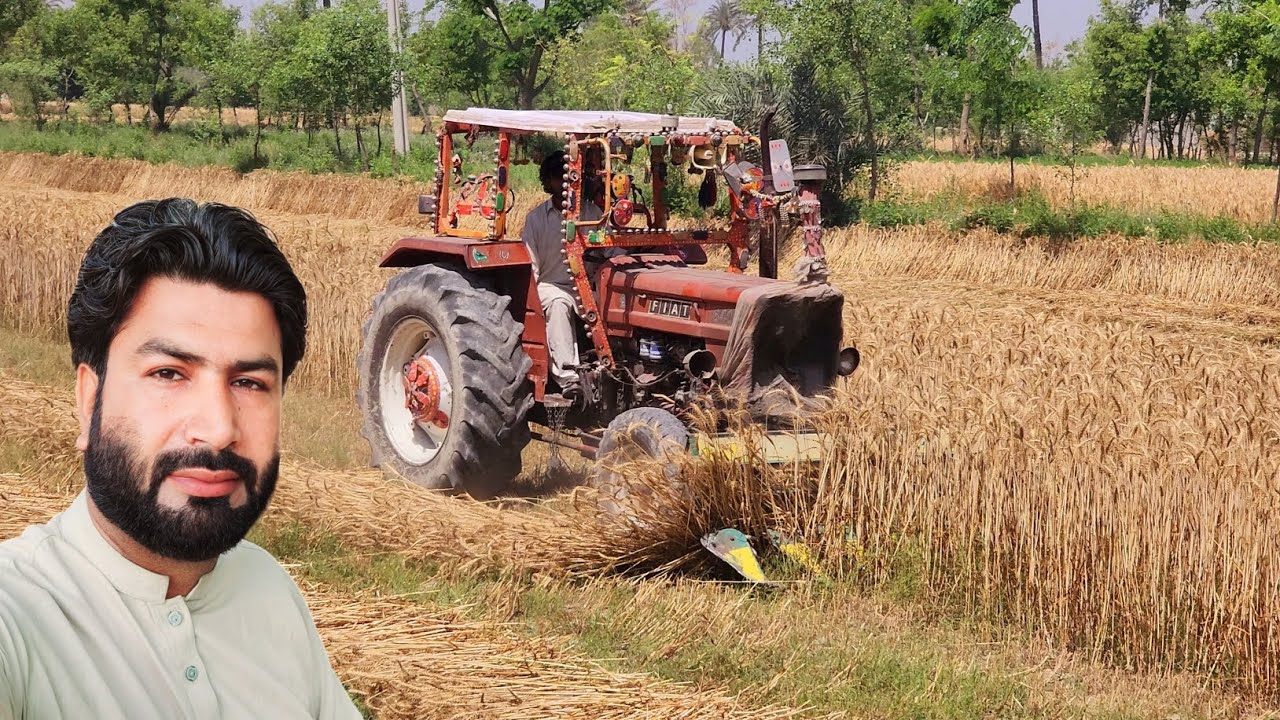 Tractor Machine Se Gandum Ki Katai 🚜😍 - YouTube