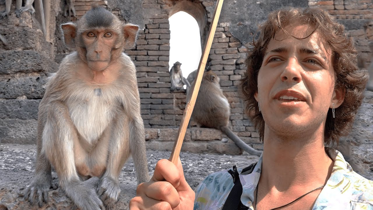 Attacked by Monkeys in Thailand! 🇹🇭 - YouTube