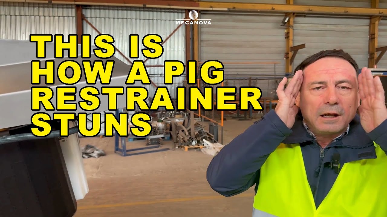 HOW IT WORKS | Automatic STUNNING RESTRAINER for PIGS - YouTube