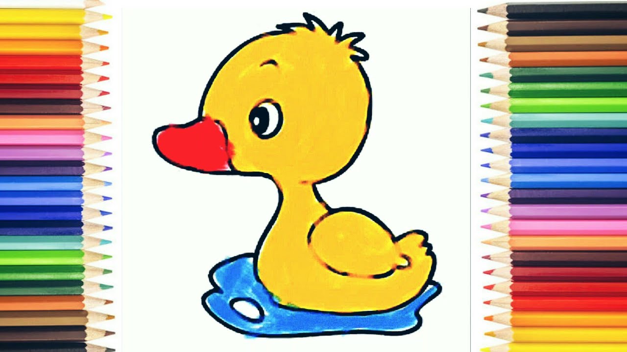 How to draw and fill colour on duck! Kids coloring page - YouTube