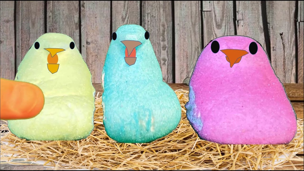 Peeps Singing in the Round - YouTube