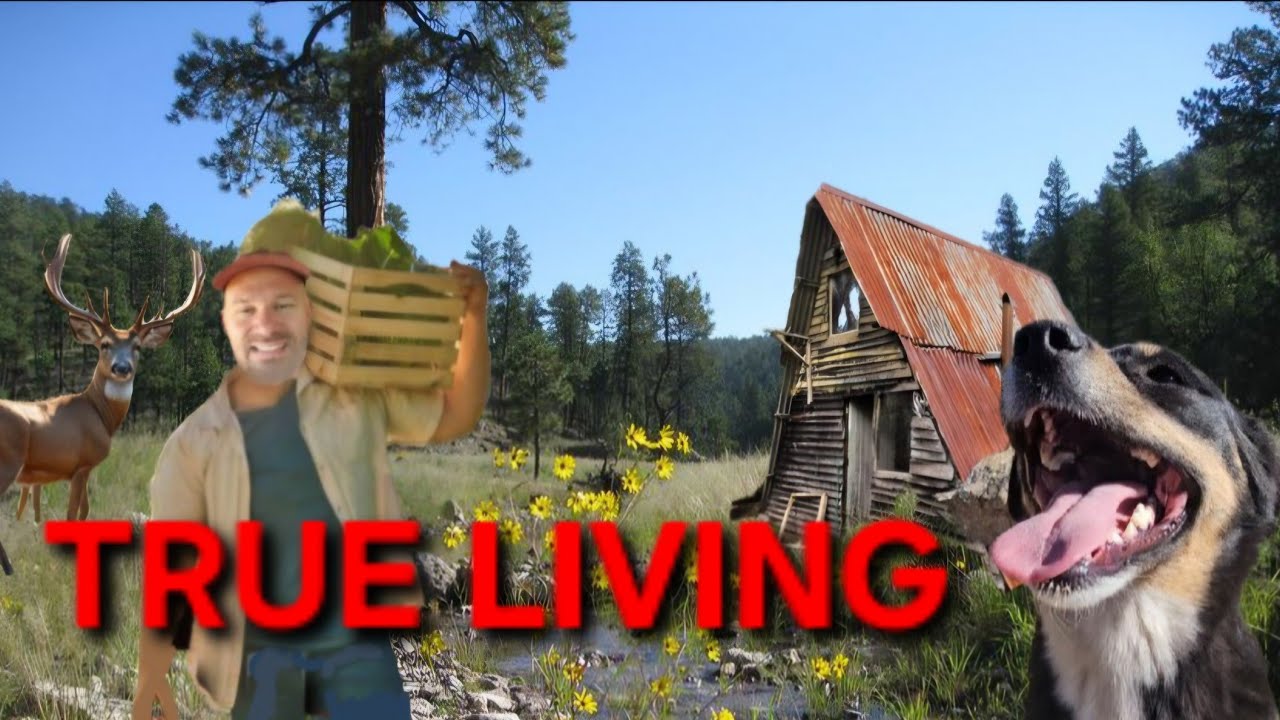 Do YOU Want to Find Real Life? - Secrets to Finding a True Life in ...