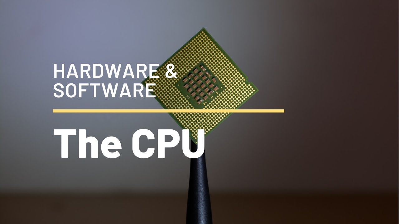 Everything you need to know about the CPU! (GCSE & iGCSE) - YouTube