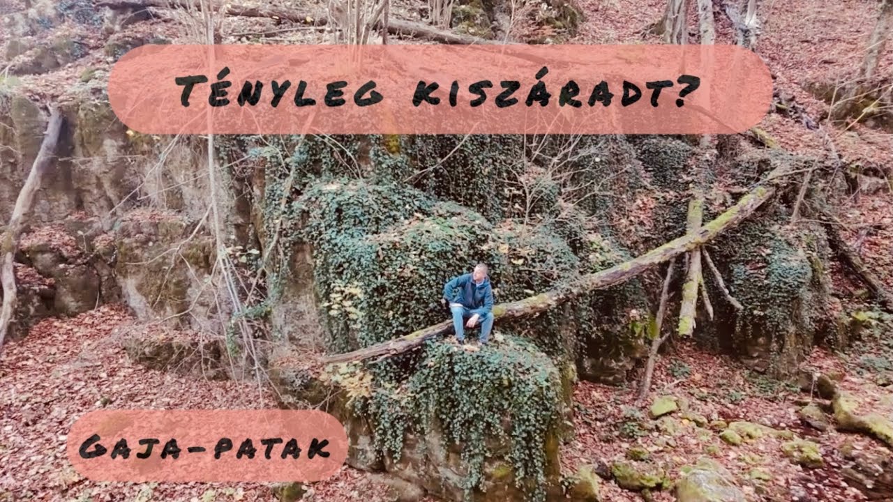 Bakony, Gaja-patak, Római-fürdő, szurdok, 2025 november, tényleg ...