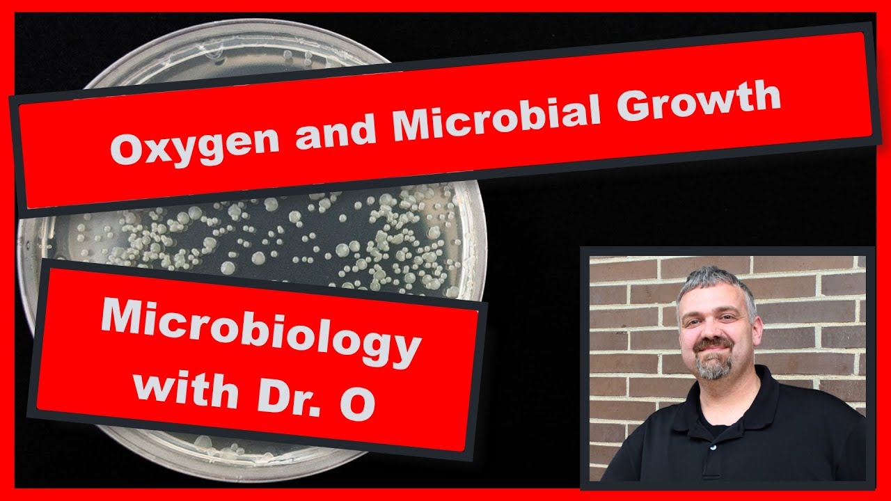 Oxygen Requirements for Growth: Microbiology - YouTube
