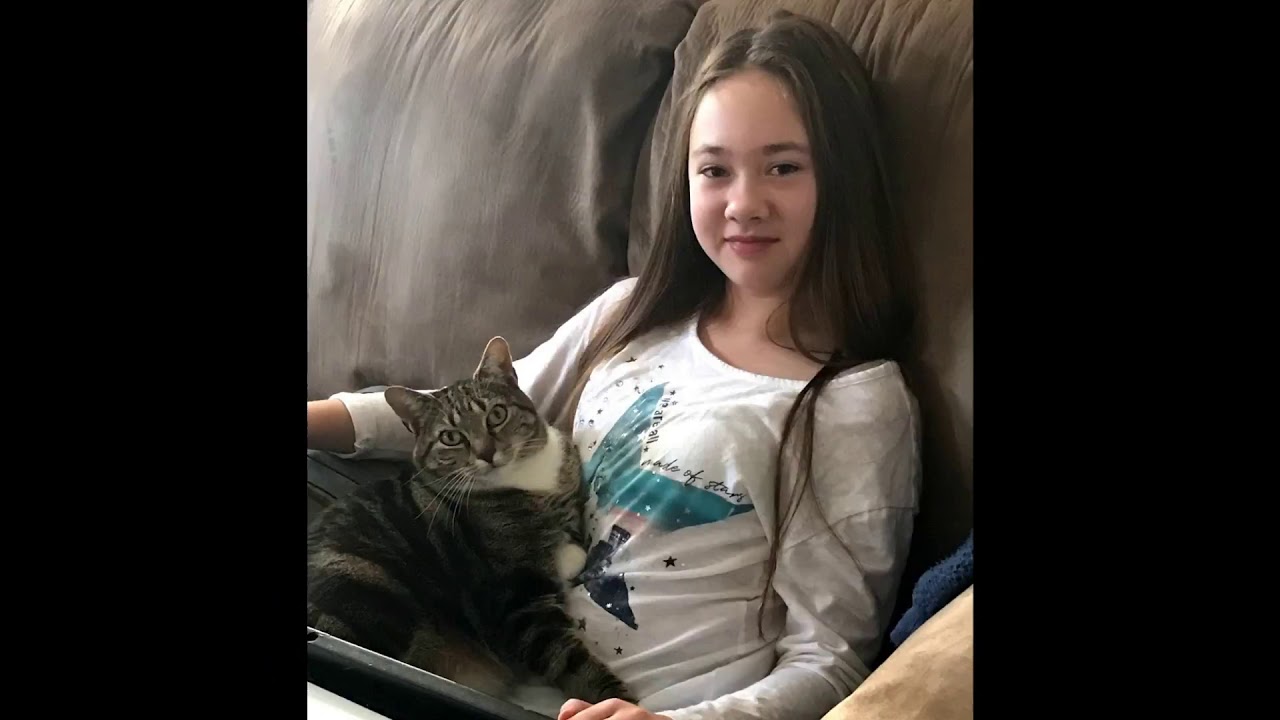 Google Meow Montage - YouTube