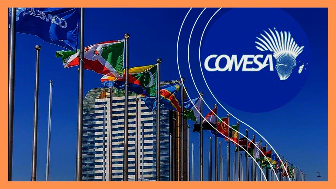 COMESA at 30 | Kenya takes the helm as host of the 24th Summit - YouTube