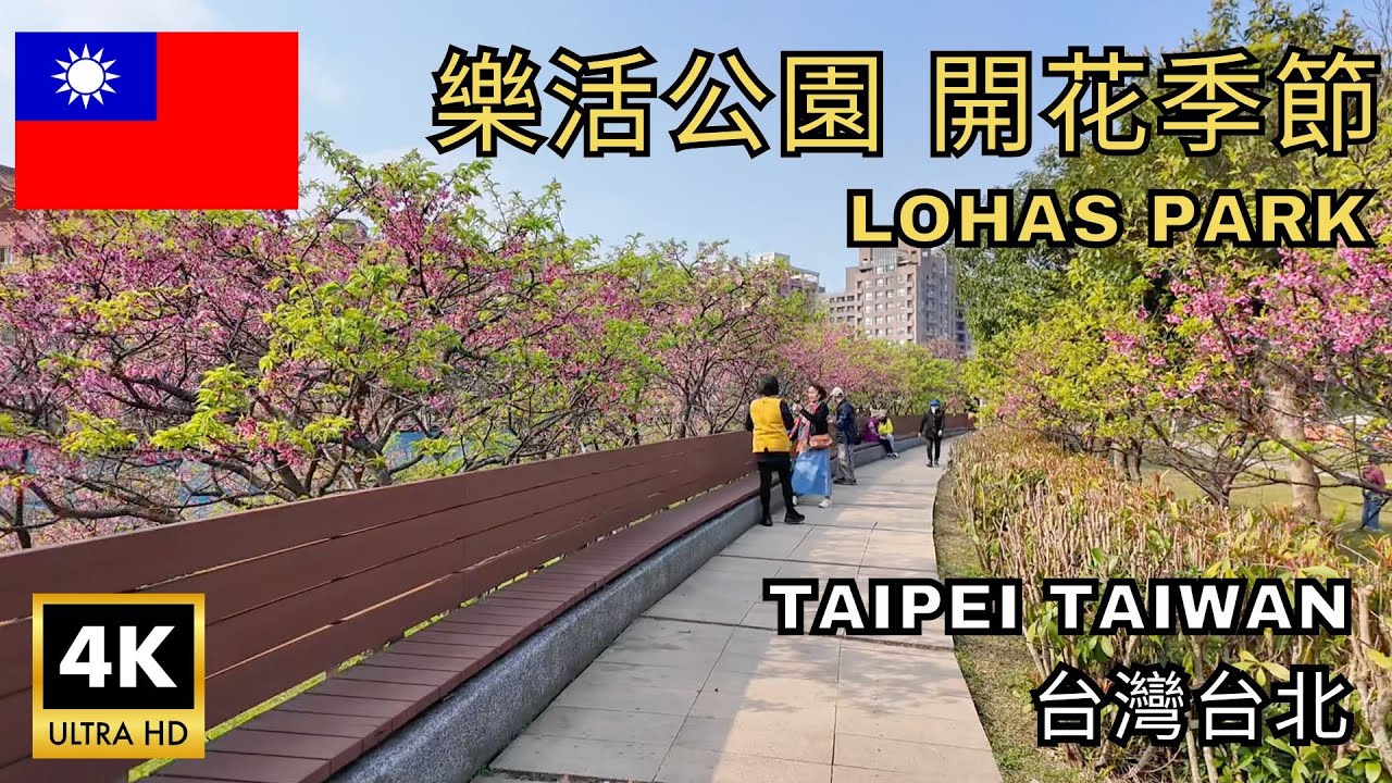 (4K Walking tour) LOHAS Park in BLOSSOM season 樂活公園 開花季節 Taipei, Taiwan ...