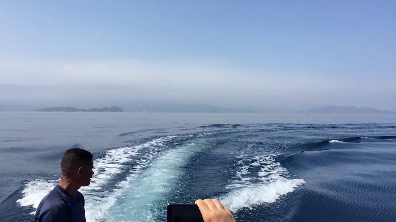 Paseo de los Delfines Mochima Cumana - Venezuela - YouTube