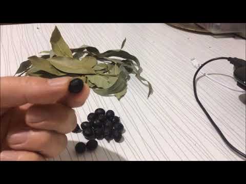 Defne meyvesinin faydaları nelerdir - YouTube