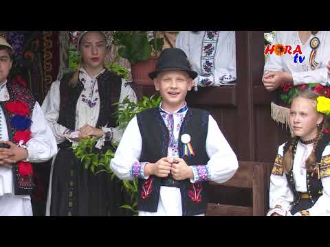 DRAGOS CAMPEAN Frunza verde de macris - YouTube