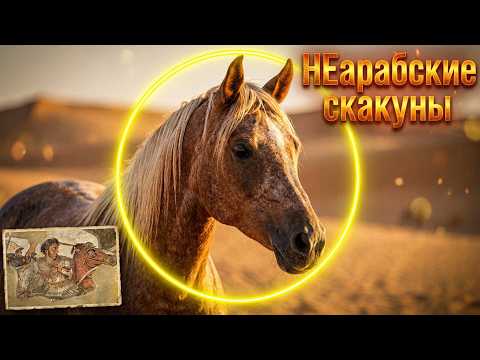 Арабская лошадь? Бред сивой кобылы
