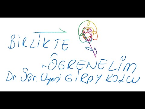 Birlikte Öğrenelim-1: Revizyon mektubu