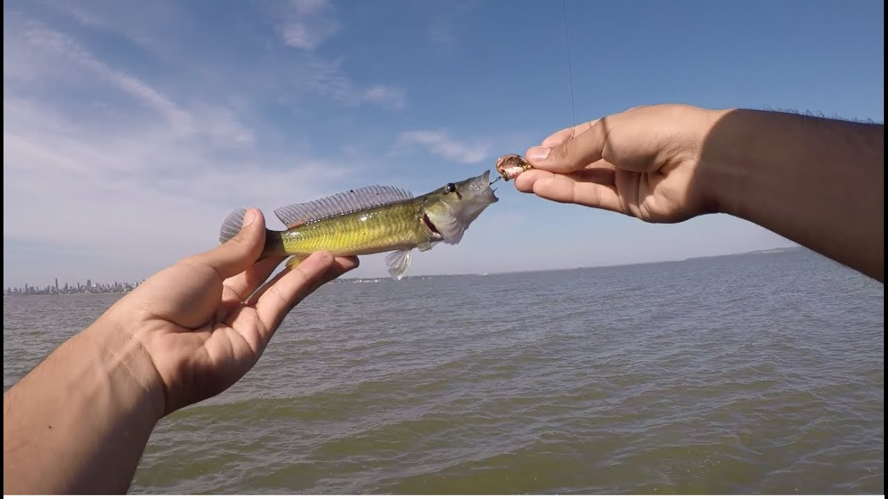 Ultralight Fishing Fun Ep. 3 - YouTube