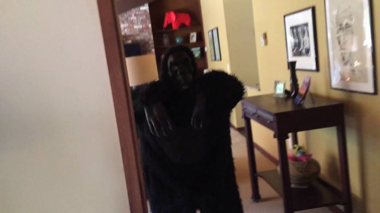 Man to monkey Transformation (TIME LAPSE) - YouTube