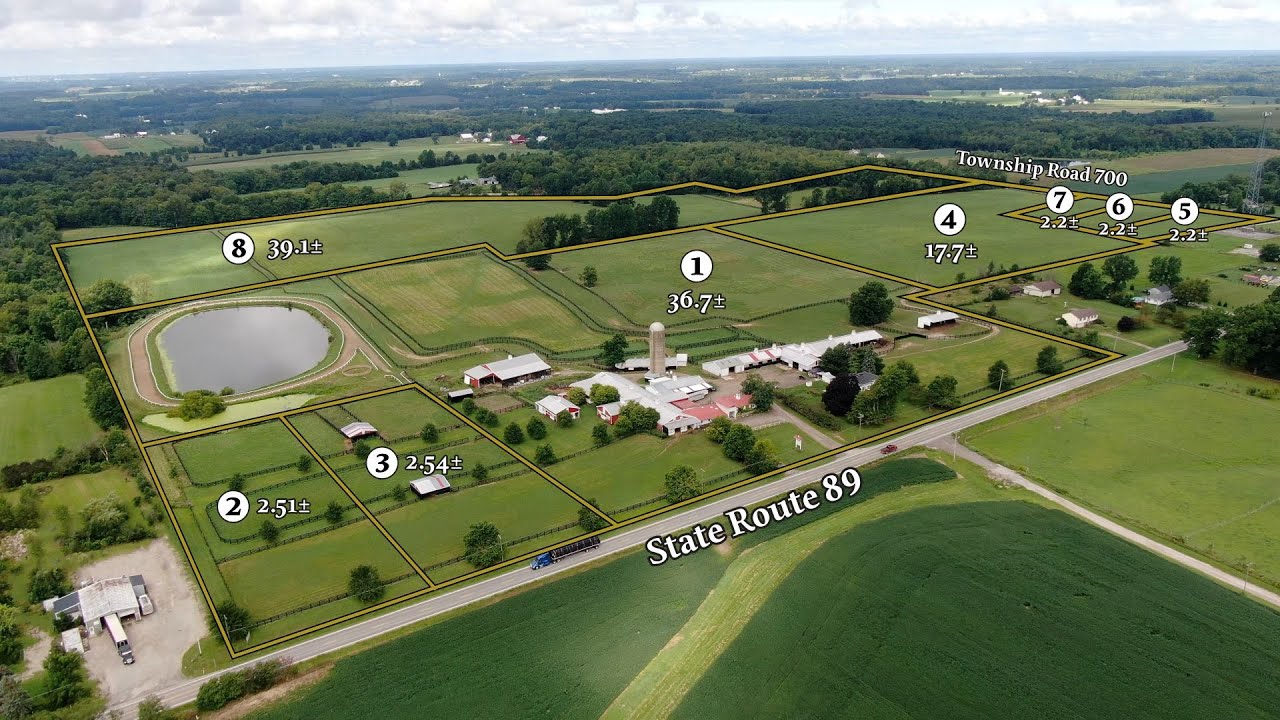 Absolute Ashland County Mapleton Thoroughbred Farm Auction - YouTube