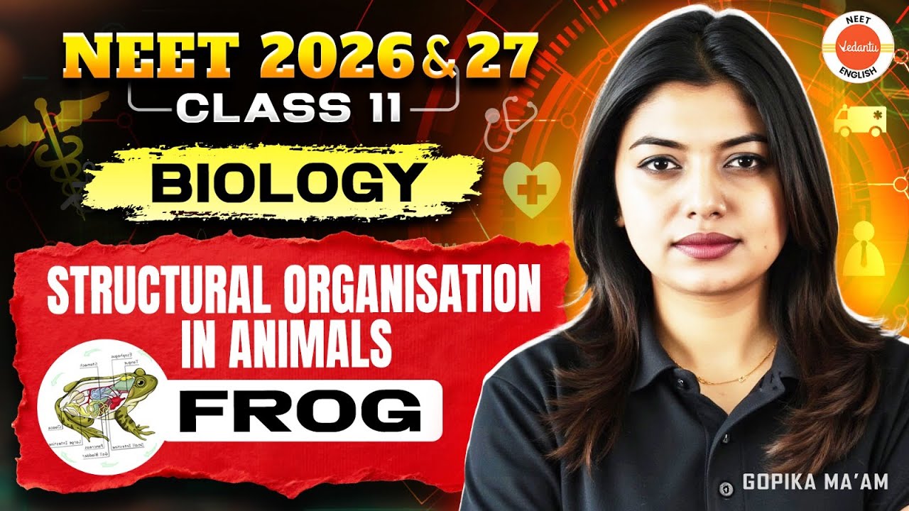 Structural Organisation in Animals - Frog | Class 11 Biology | NEET ...