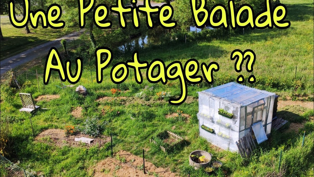 VISITE DU POTAGER FIN AVRIL 2020 - YouTube