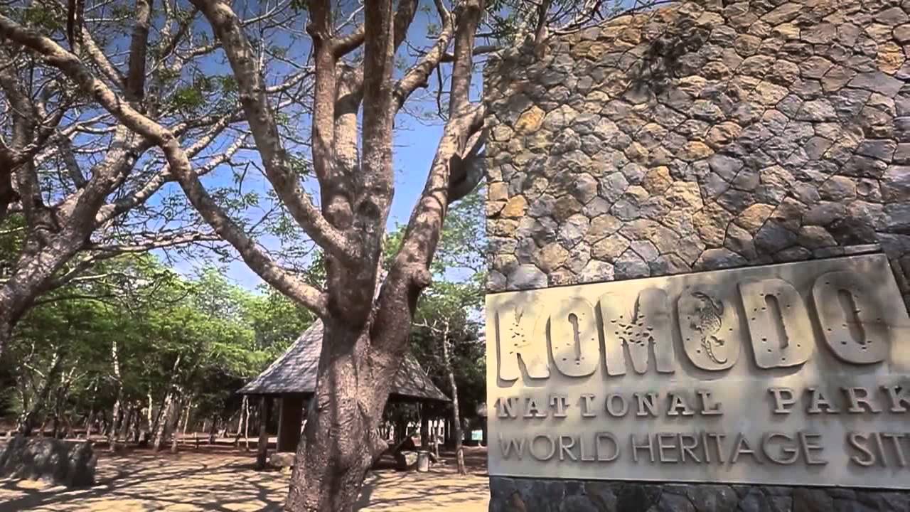 Eco Resort: Case Study Uplift yourself - YouTube