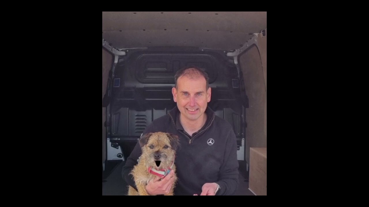 Herbert the dog has got a great recommendation on who to buy your next ...
