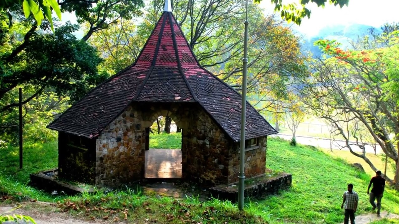 Peradeniya University Love Lane