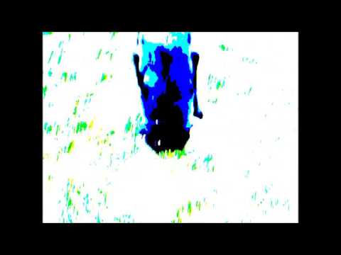 a dog searching for joe