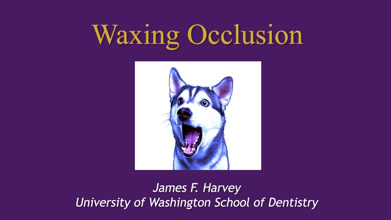 Waxing Occlusion Tutorial - YouTube
