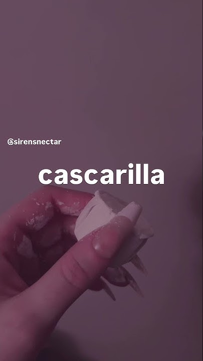 cascarilla 🥚 - YouTube