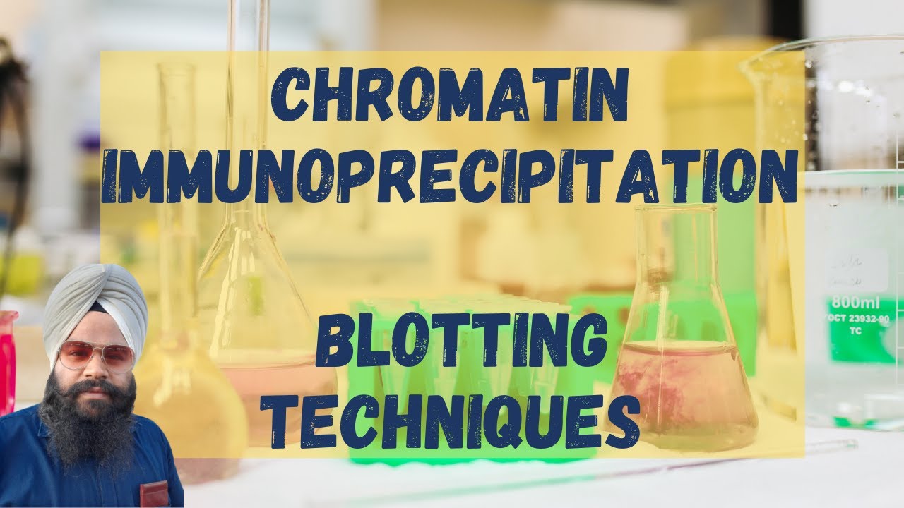 MBBT - Blotting Technique - 5th July 2021 - YouTube