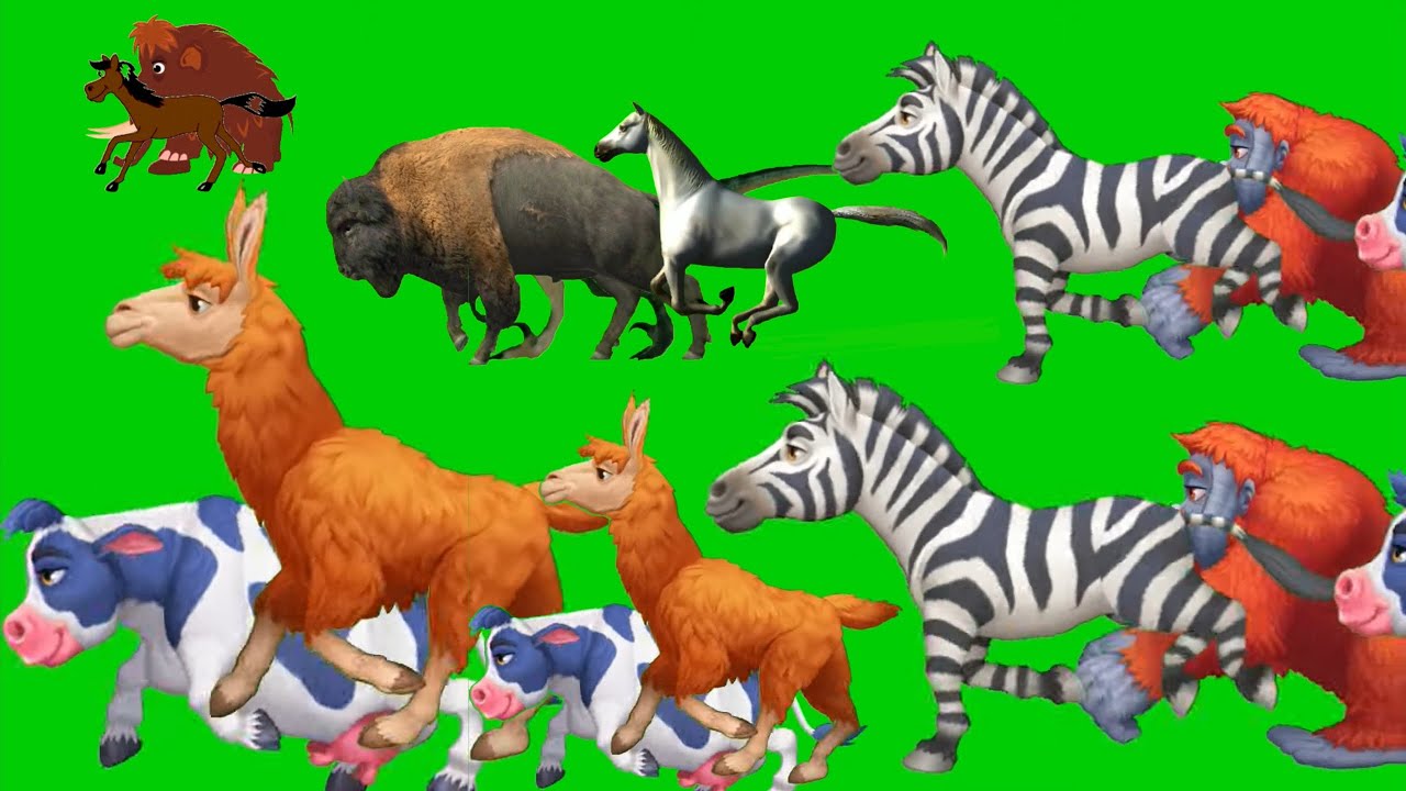 Wild animal green screen | Animals stampede green screen | Stampede ...
