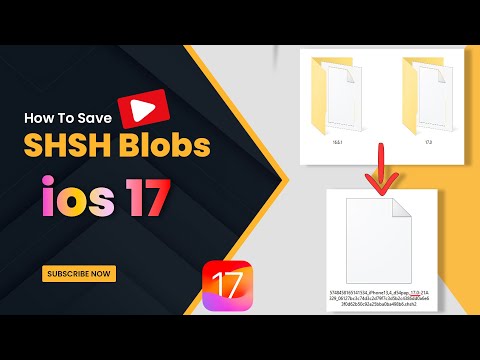 So speichern Sie SHSH-Blobs unter iOS 17 (Einfache Anleitung)