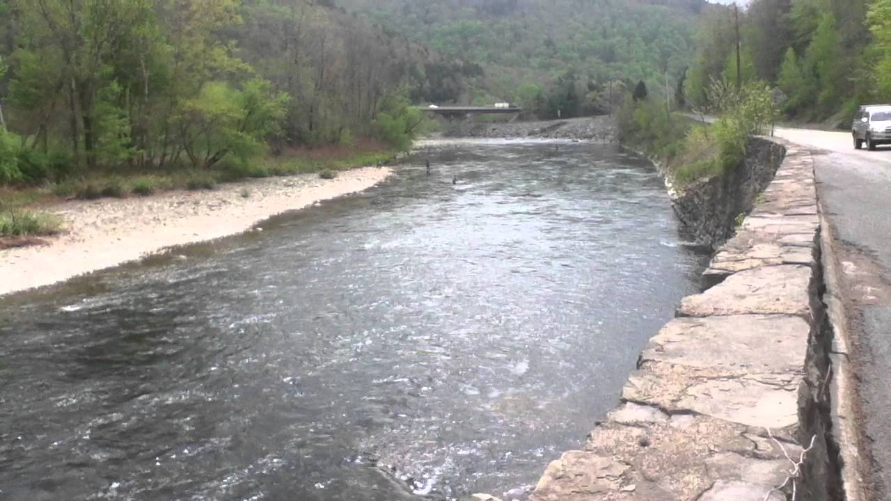 Fly Fishing on the Beaver Kill River, Southeastern New York State - YouTube