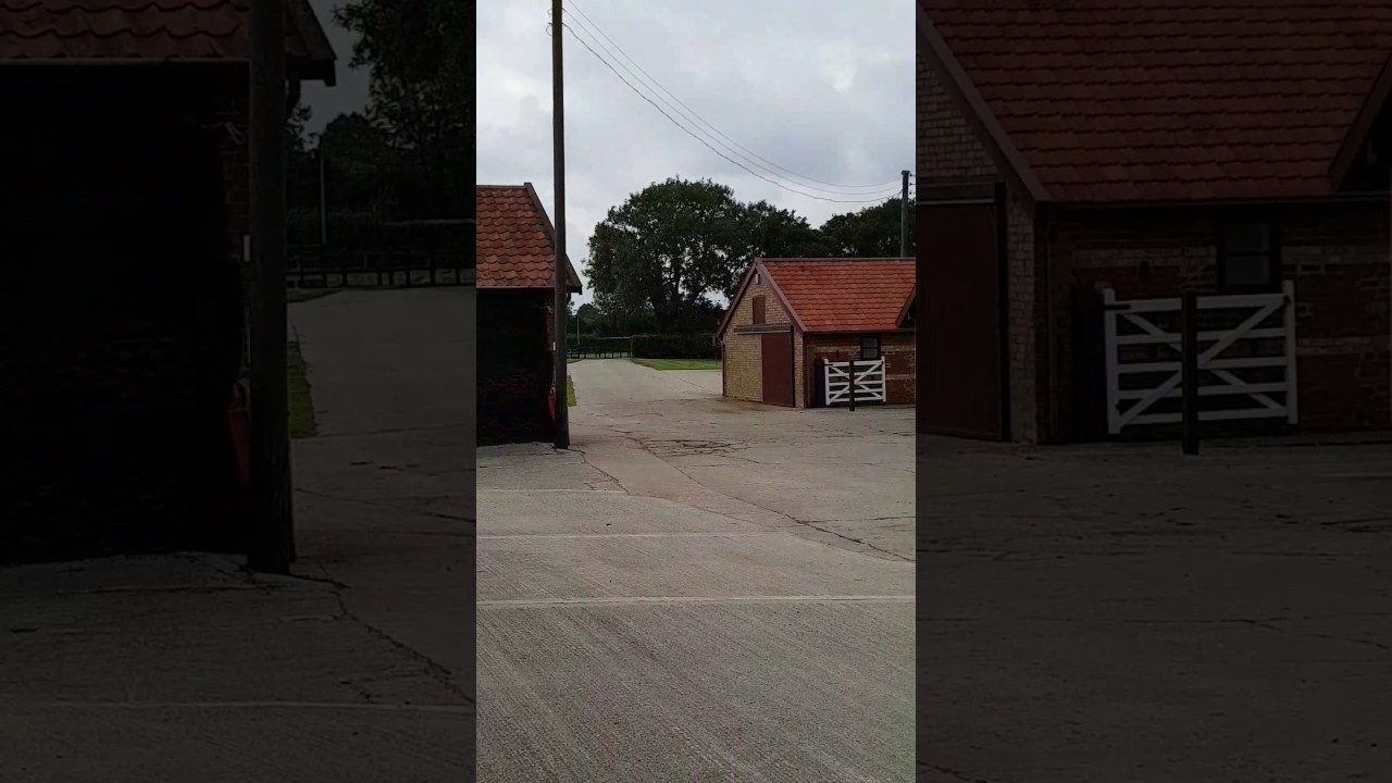 Peddars pigs - YouTube