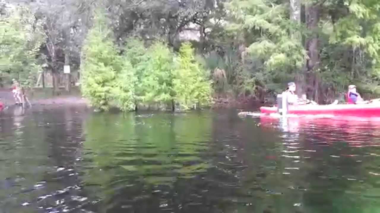 Boy Scouts Troop 246 Kayaking Trip. - YouTube