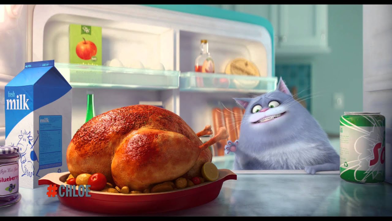 The Secret Life Of Pets - Chloe - YouTube