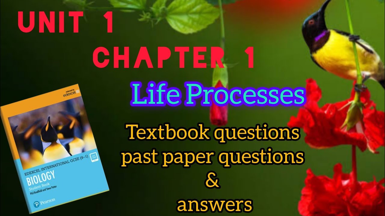 IGCSE 9-1 biology chapter 1 solved questions Unit 1 chapter 1 Life ...