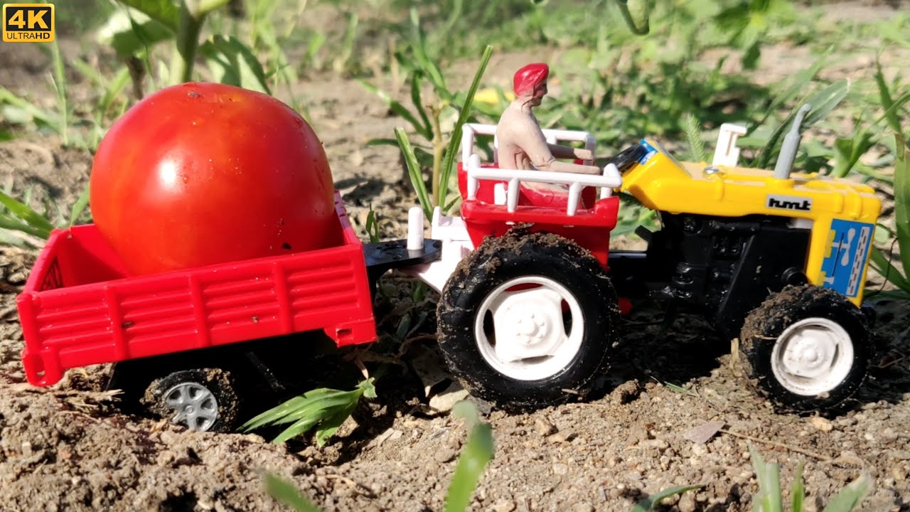 HMT Tractor with Tomato 🍅 Trailer | Kids Tractor Toys | #BOMMUKUTTY ...