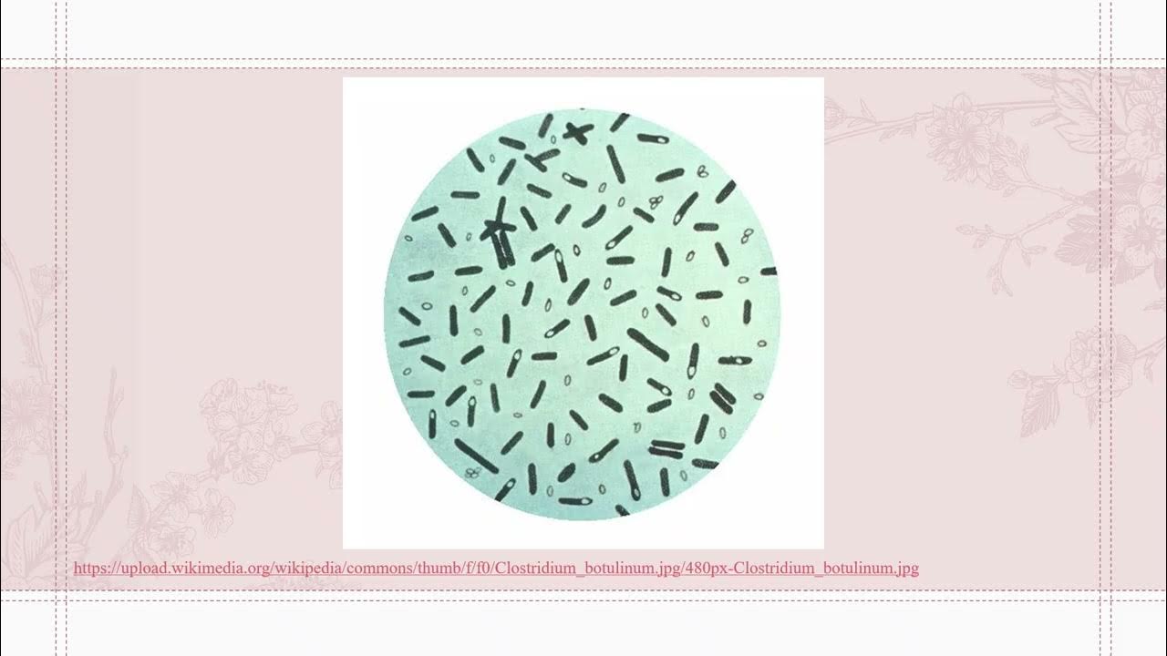 Presentation Case Study 2C - YouTube