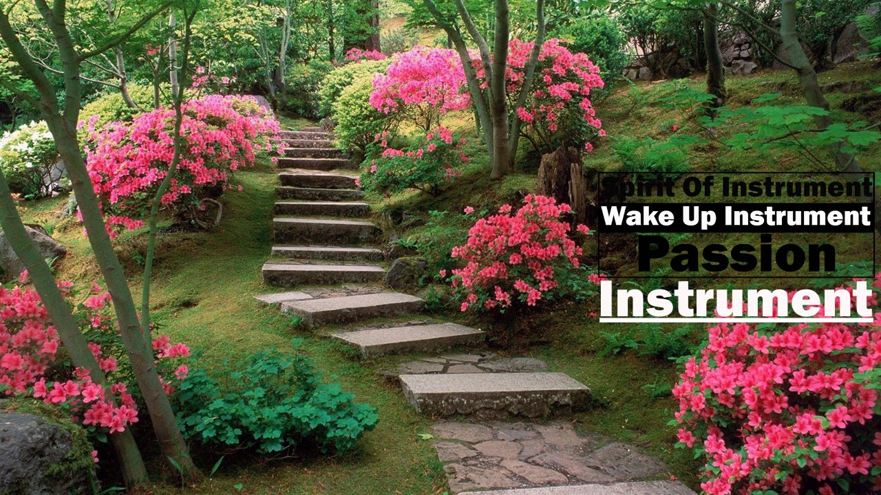Relaxing Instrument Passion Instrument Wake Up Instrument Spirit ...