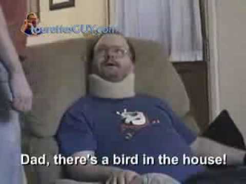 Tourettes Guy - Bird in the House - YouTube