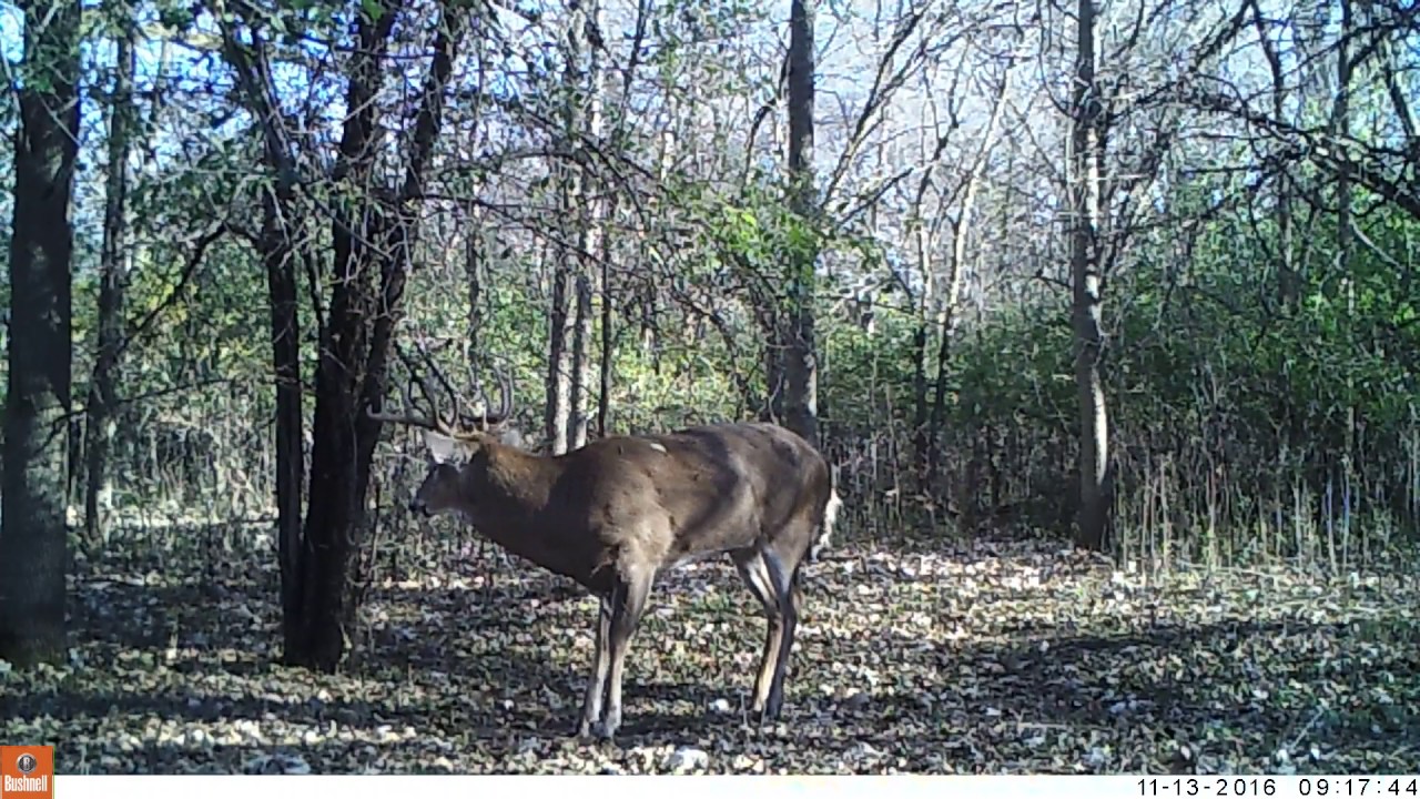 10 pointer 2016 part 2 - YouTube