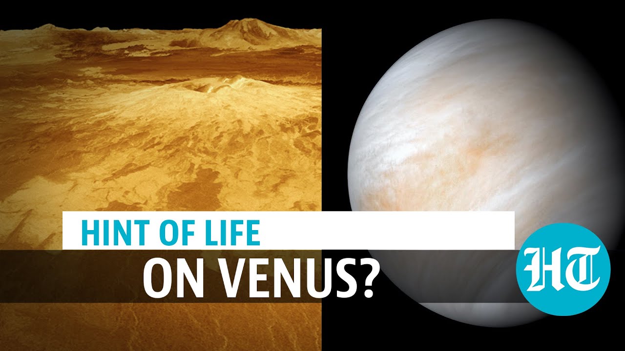 Hint of alien life on Venus? Scientists announce detection of rare gas ...