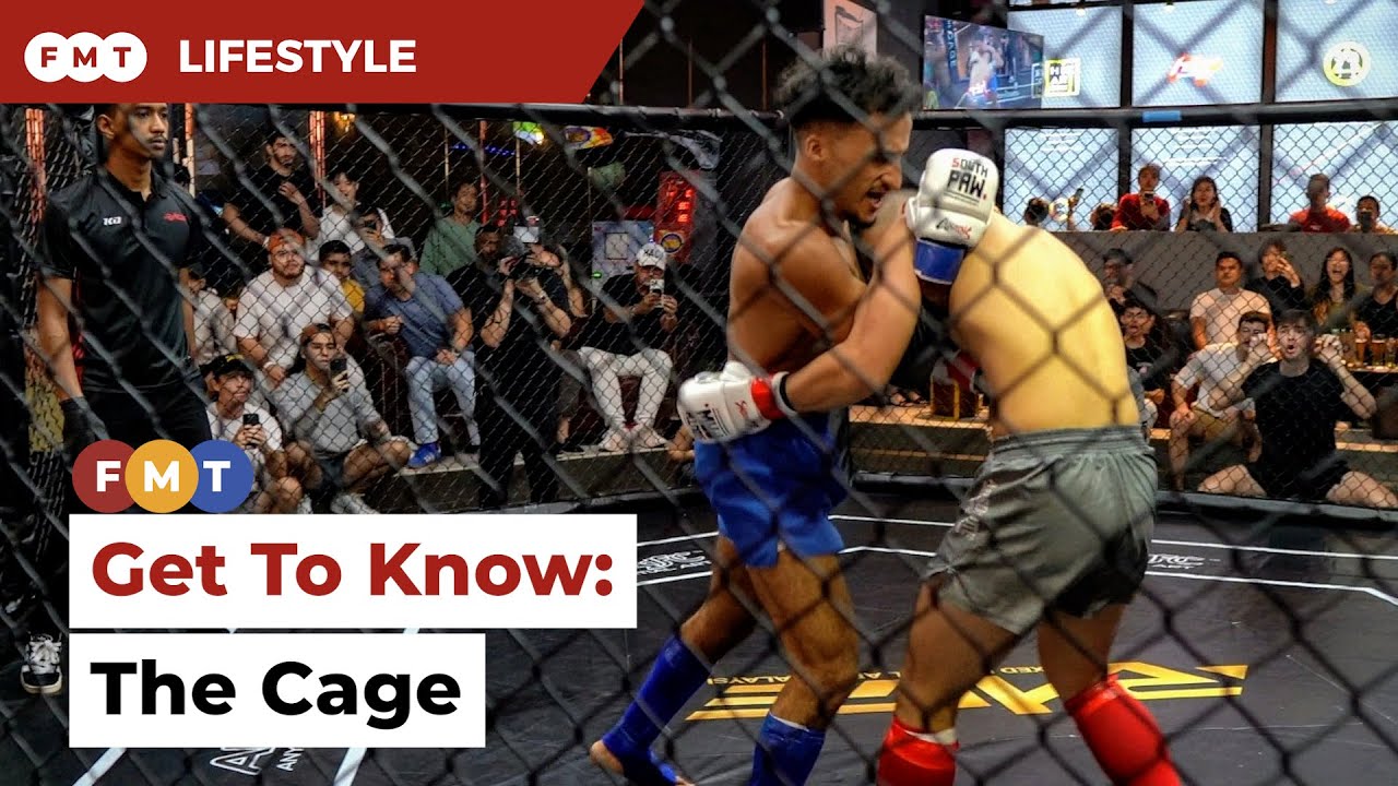 Get To Know: The Cage - YouTube