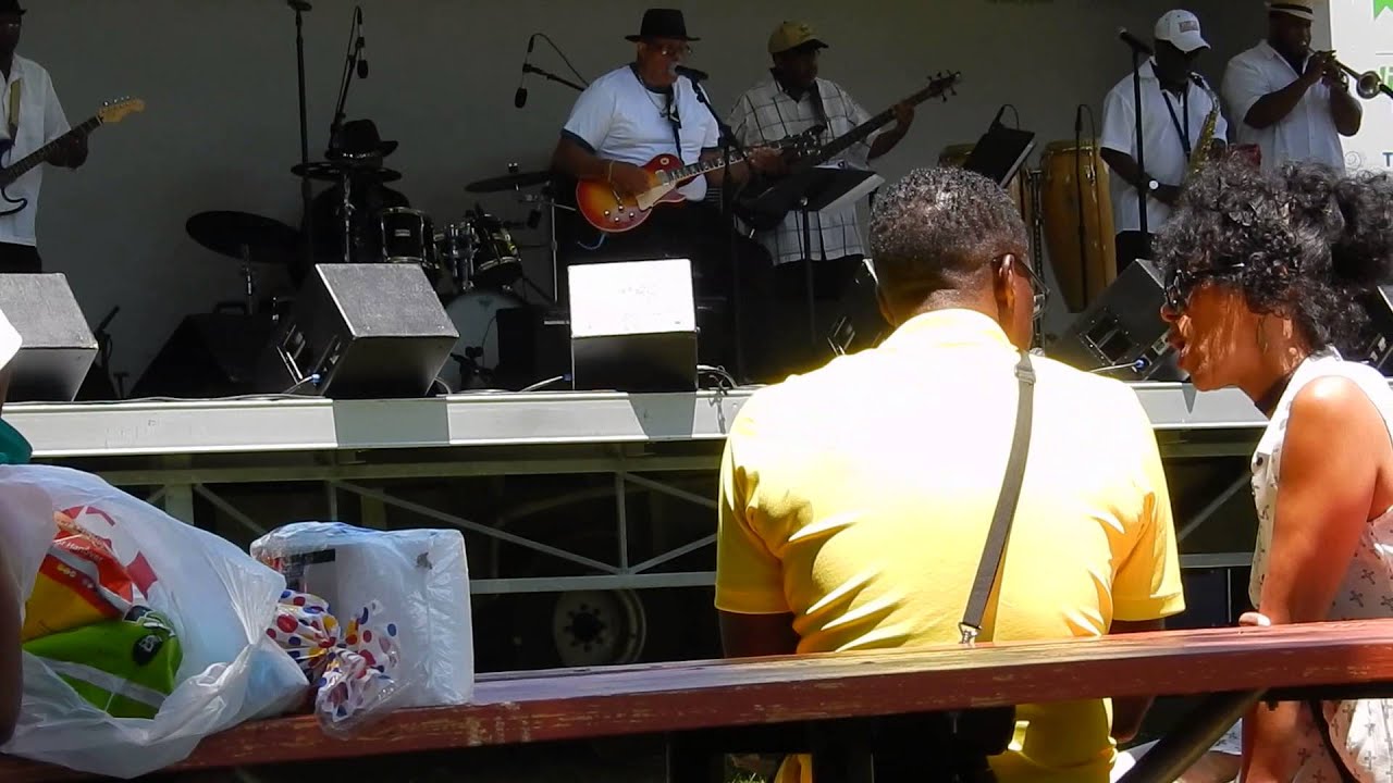 Big Daddy, Blues Band, Juneteenth Celebration, Watkins Park, 6/14/14 ...