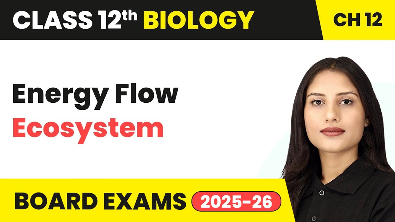 Energy Flow - Ecosystem | Class 12 Biology Chapter 12 | CBSE 2025-26 ...