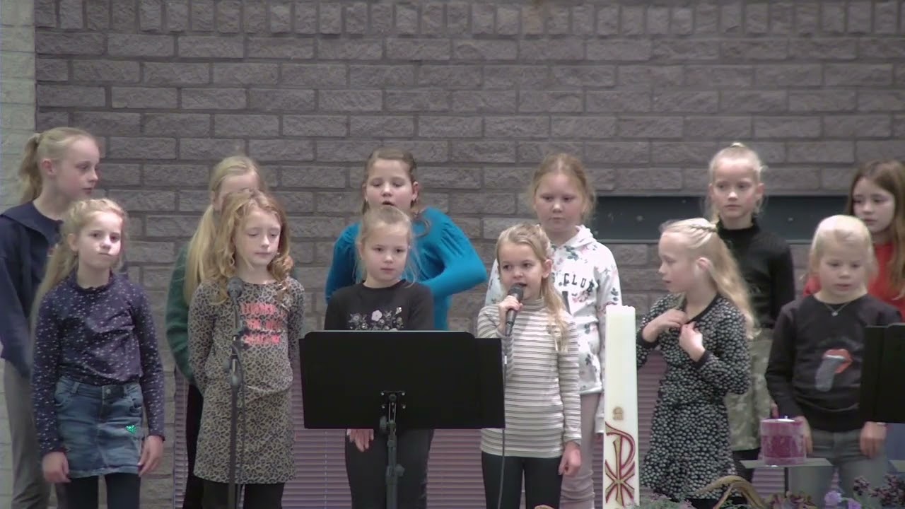 Heel gewoon - YouTube Music