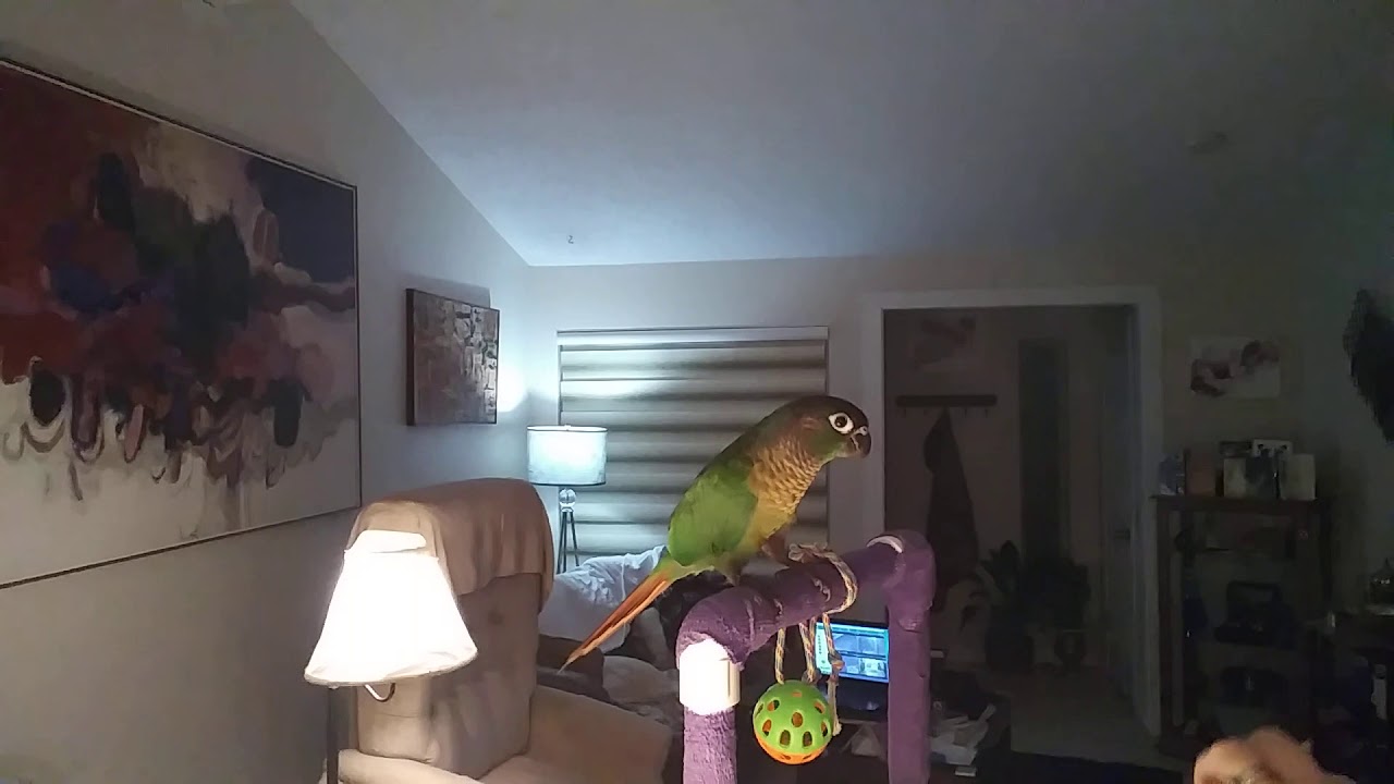 High Five YouTube high-five-youtube