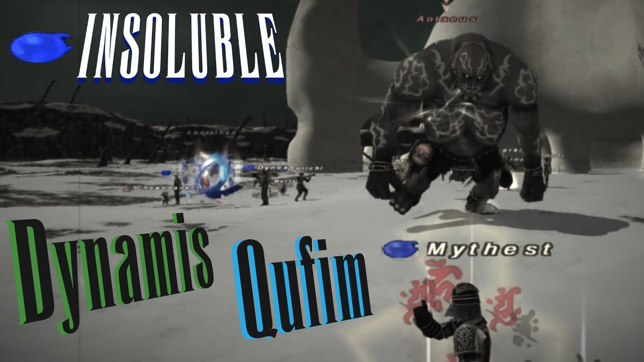 FFXI | HorizonXI | Dynamis - Qufim (Lowman) | PLD POV - YouTube